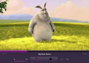 The 15 Best HTML5 Video Players: A Definitive Guide for 2025