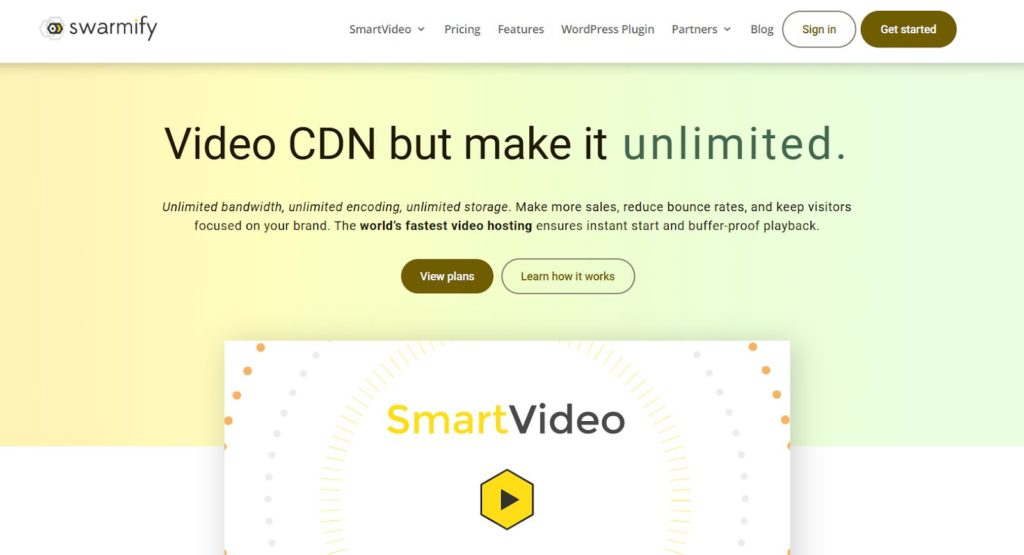 The 20 Best Private Video Hosting Platforms for 2025 (With Pricing)